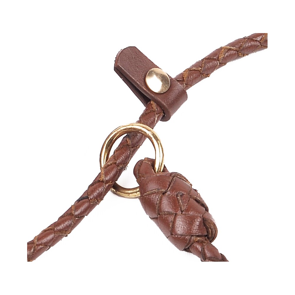 Performance show-leash - slip lead with 'stopper' in 100% buffalo leather